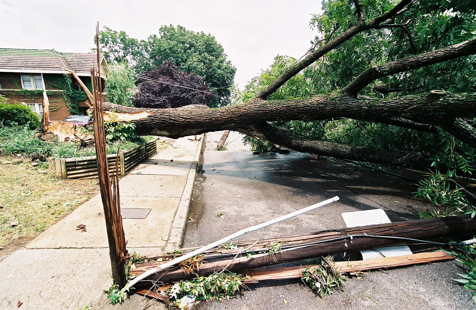 Memphis Light, Gas and Water - Home Overview