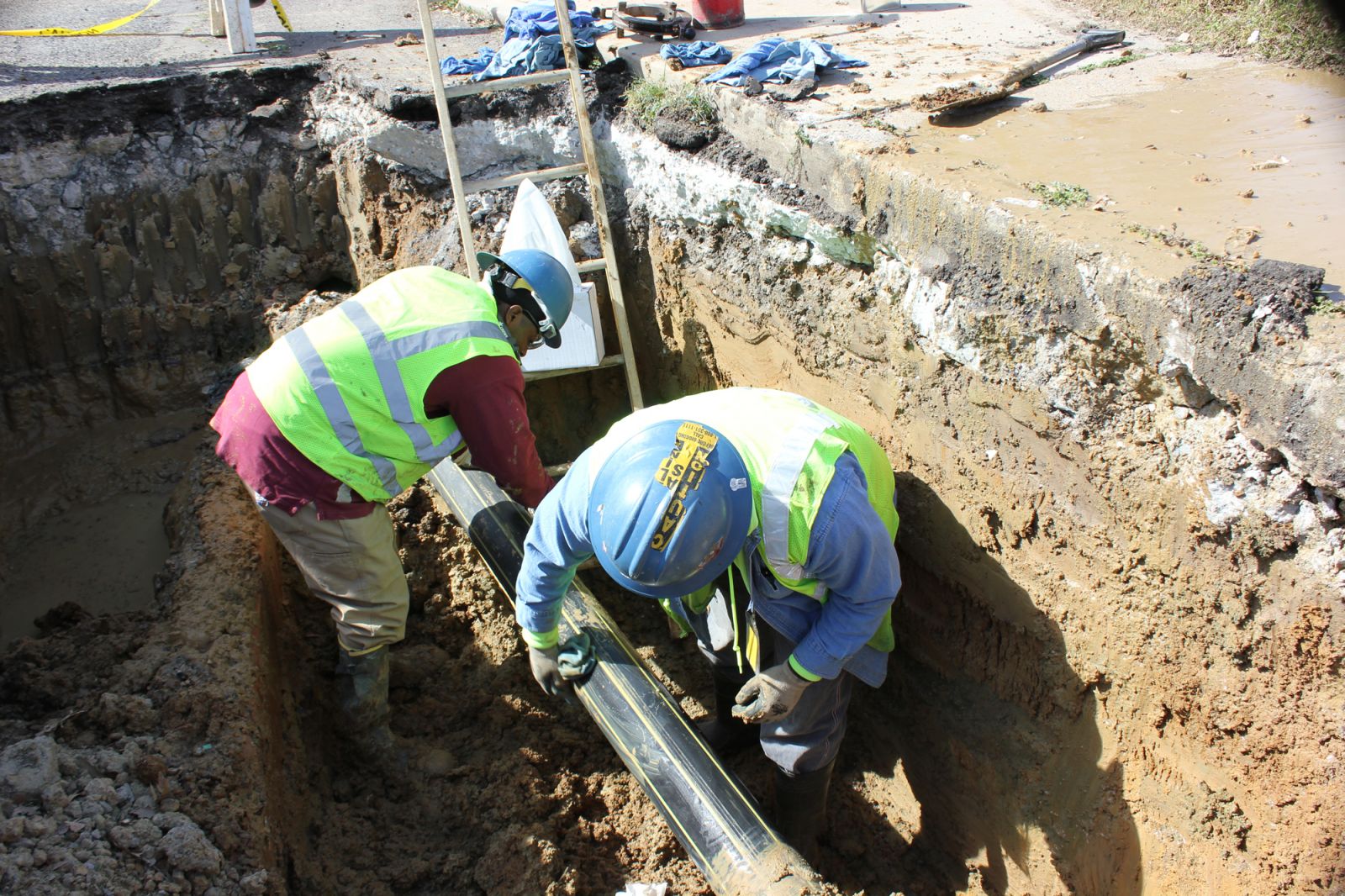 Memphis Light, Gas and Water - Home Overview